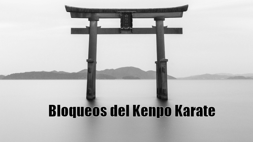 Bloqueos del Kenpo Karate - Deportes y Artes Marciales